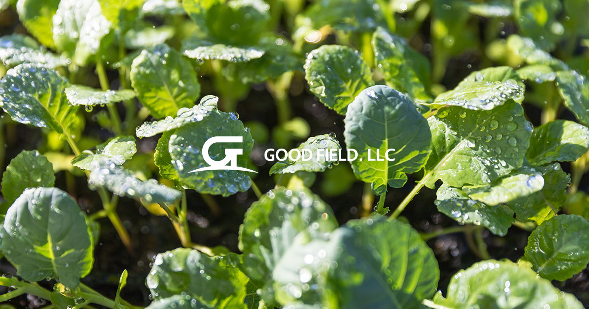 入札公告（蒸熱処理装置） – GOOD FIELD / グッドフィールド 入札公告（蒸熱処理装置）